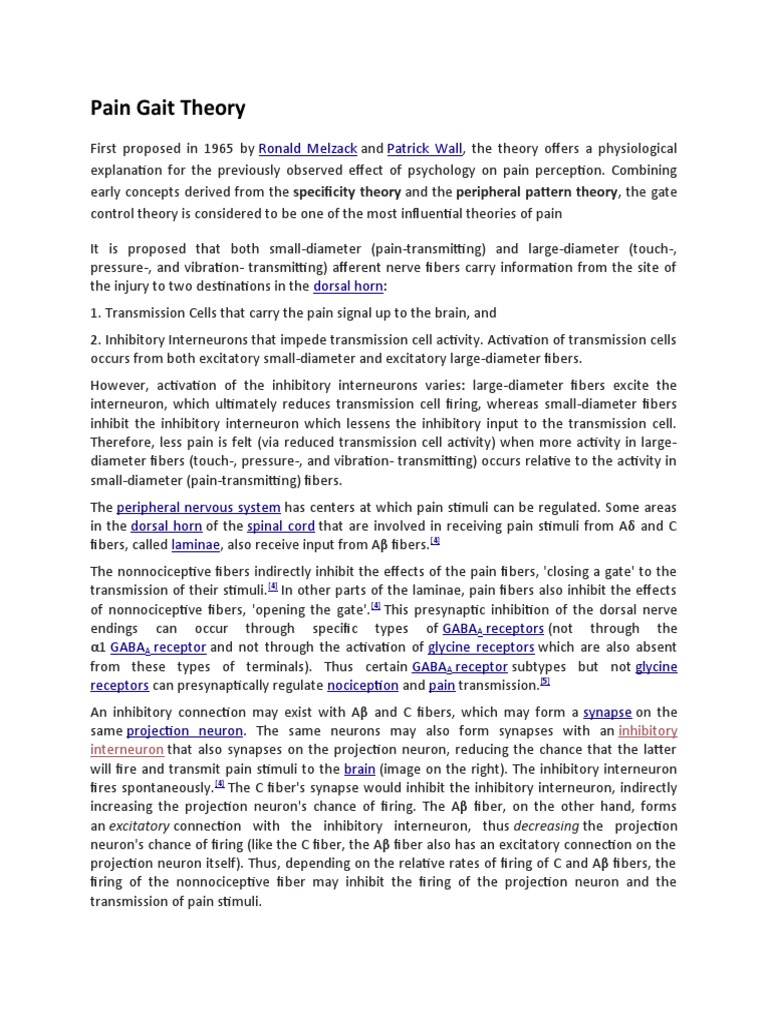 Pain Gait Theory: Ronald Melzack Patrick Wall | PDF | Neuron ...