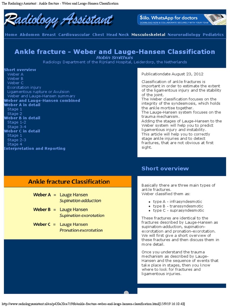 Ankle Fracture Classification Overview | PDF | Ankle | Human Anatomy