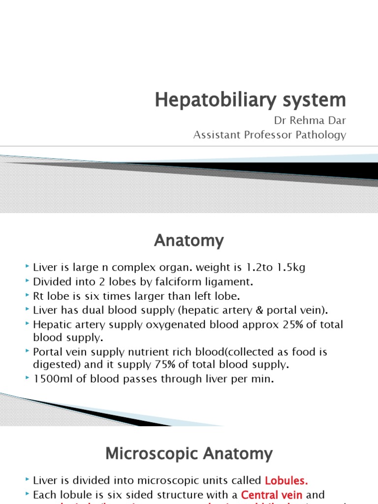Liver - Lecture 1 by Dr. Rehma Dar (14-03-2020) | PDF | Liver | Alanine ...