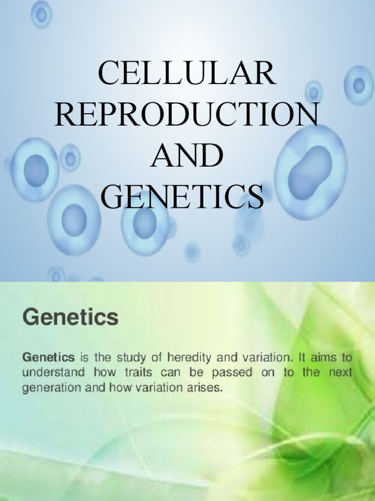 Cellular Reproduction AND Genetics | Download Free PDF | Meiosis | Mitosis