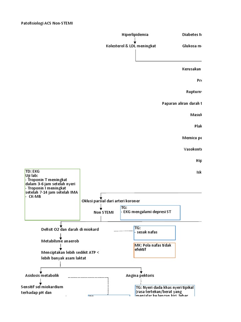 Patoflow Nstemi | PDF