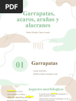 Ácaros del polvo: Dermatophagoides y Euroglyphus | PDF | Alergia