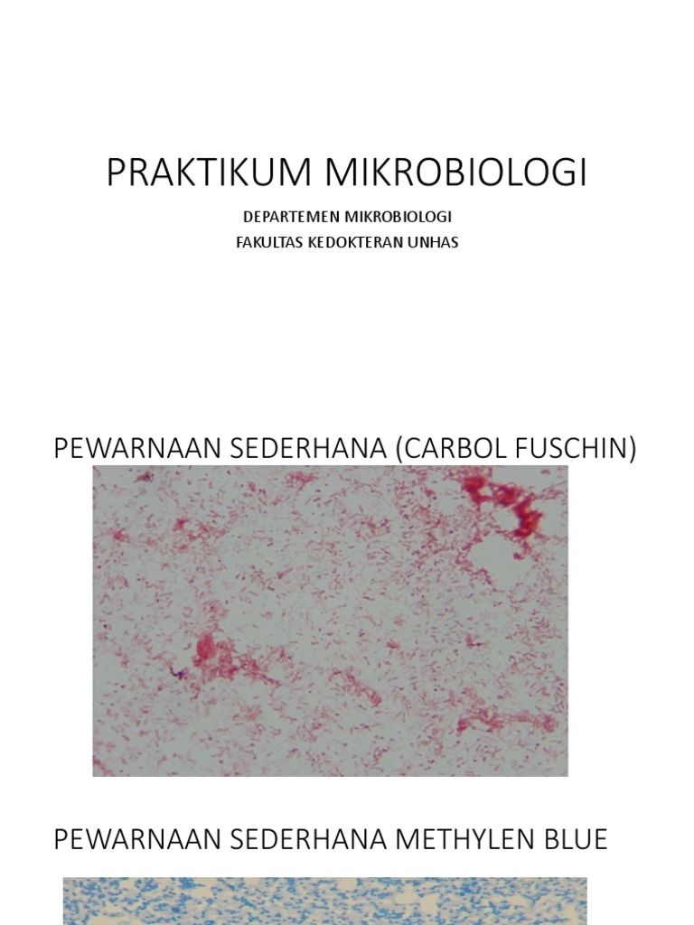 Gambar Preparat MIKROBIOLOGI 2021 | PDF