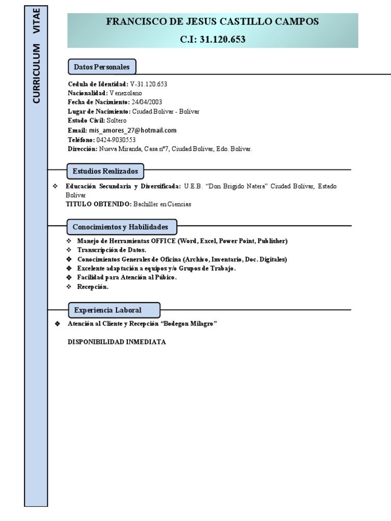 Curriculum Francisco | PDF