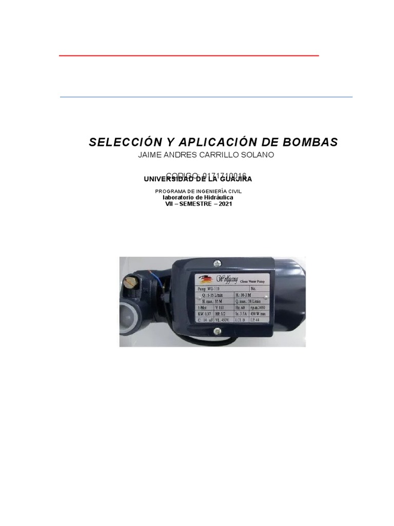 Seleccion y Aplicacion de Bombas | PDF | Bomba | Engranaje