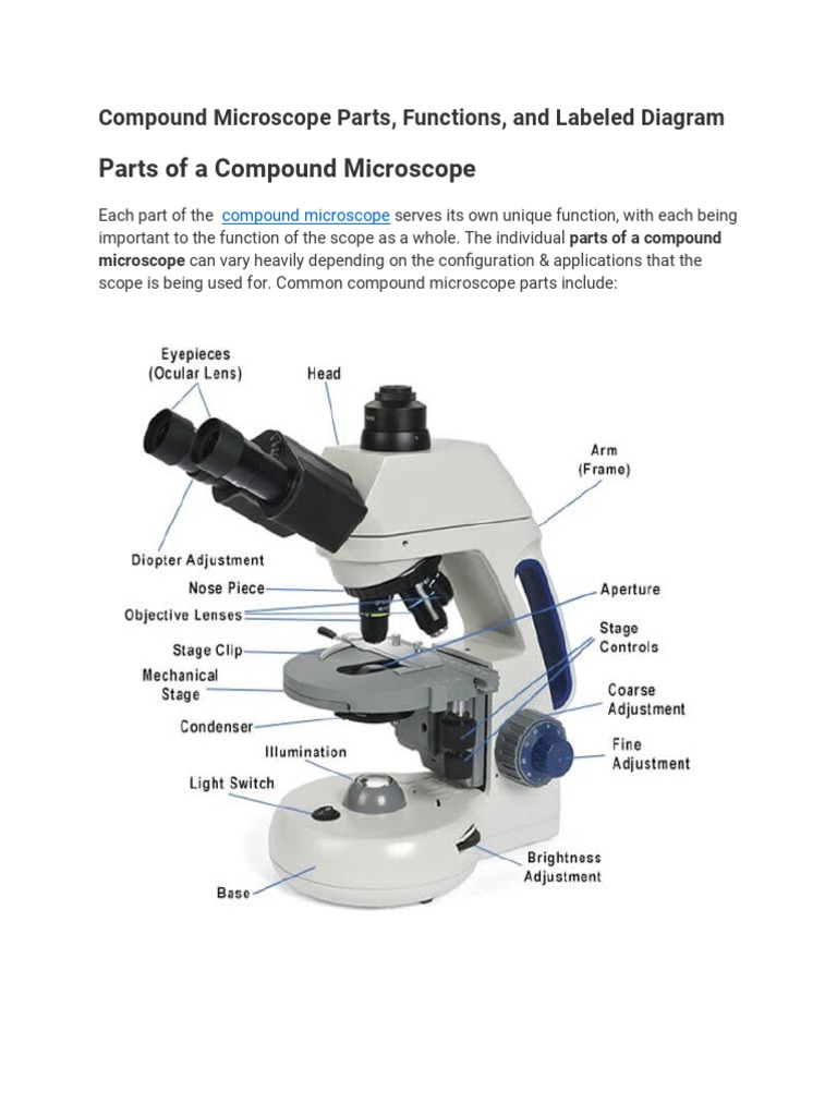 Compound Microscope Parts | PDF | Electromagnetic Radiation | Glass ...