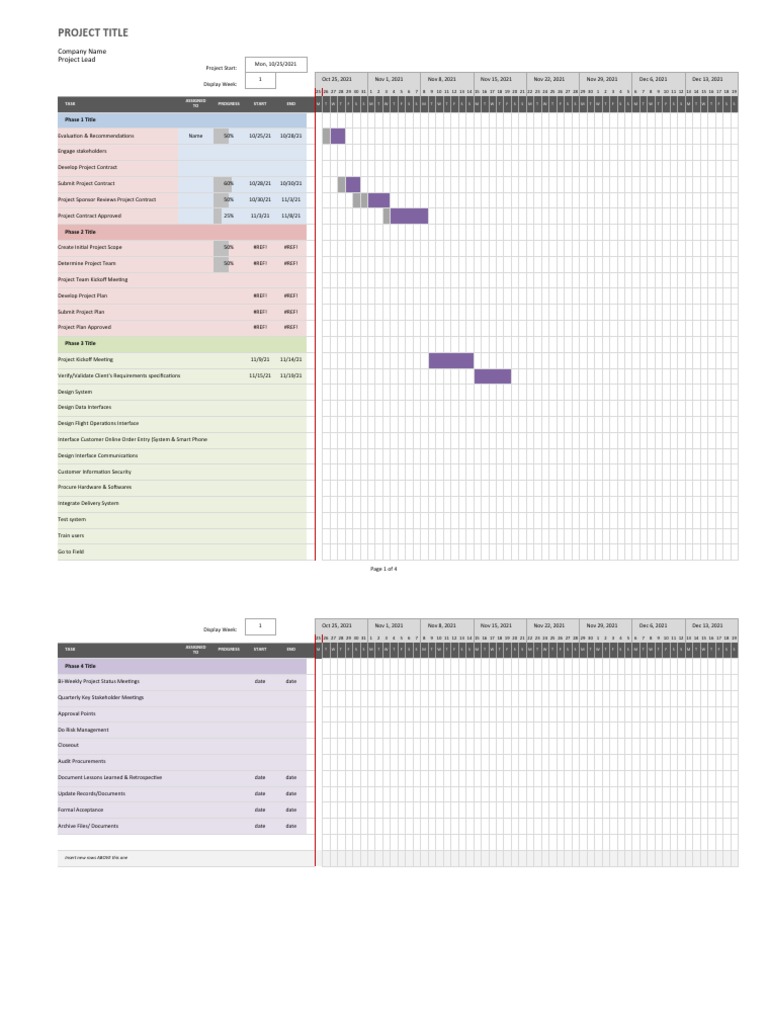 Project Title: Company Name Project Lead | PDF | Spreadsheet | Worksheet