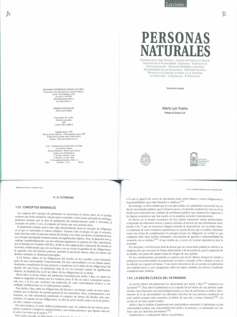 Lyon Puelma, Alberto - Personas Naturales, Pp. 192-204 | PDF