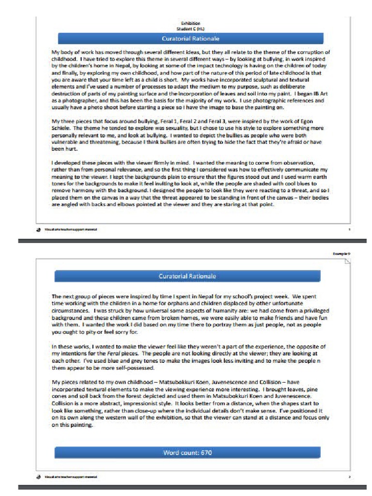 Sample Curatorial Rationale HL Full Marks | PDF