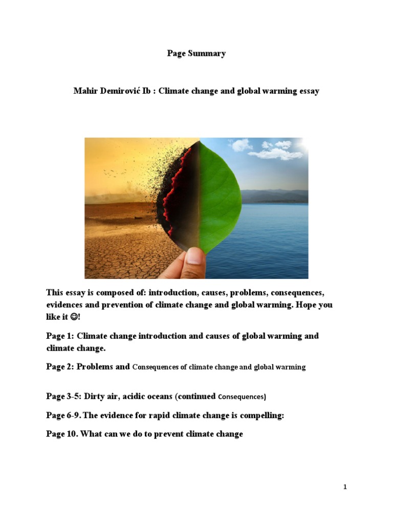 Climate Change An Global Warming Geography Essay | PDF | Climate Change ...