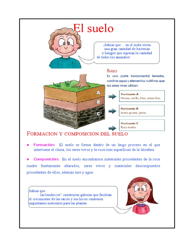 Ficha de Ciencia - El Suelo | PDF | Ciencia y matemáticas