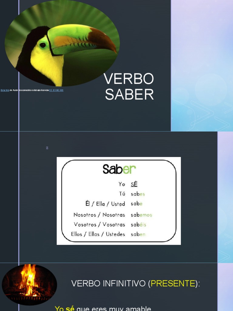 Verb Saber | PDF