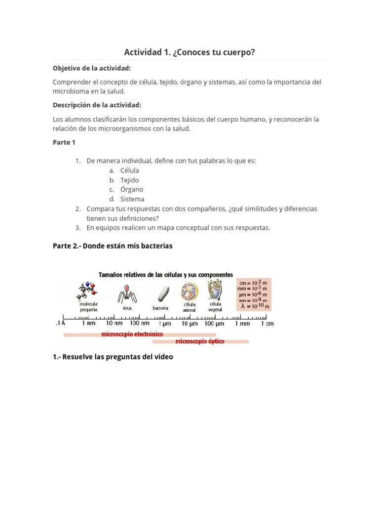 Conoce Tu Cuerpo: Células y Microbioma | PDF
