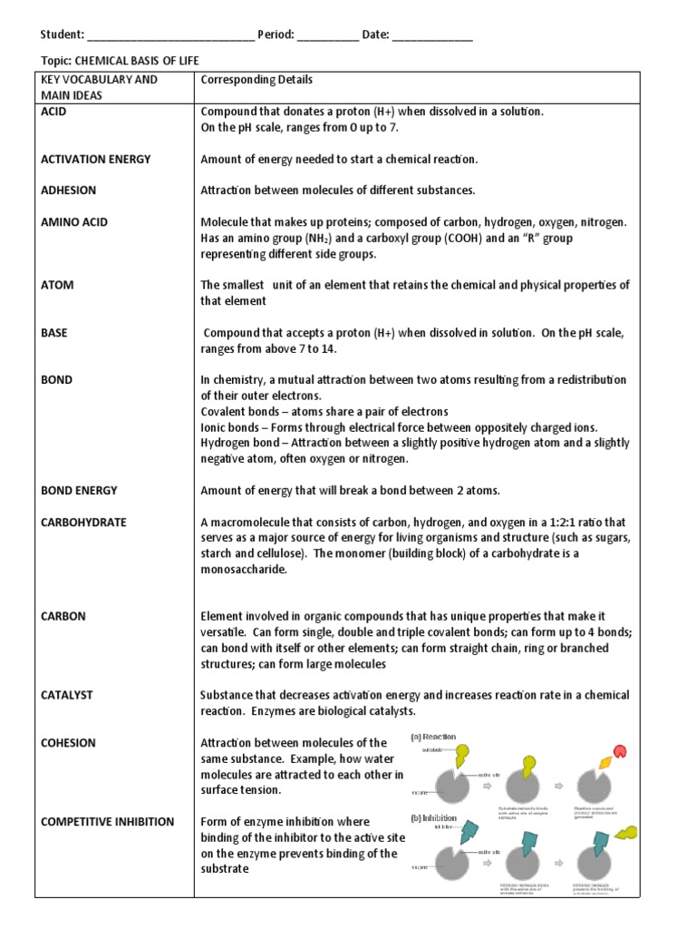 Unit 2 Chemistry of Life Review Packet | PDF | Chemical Reactions | Enzyme