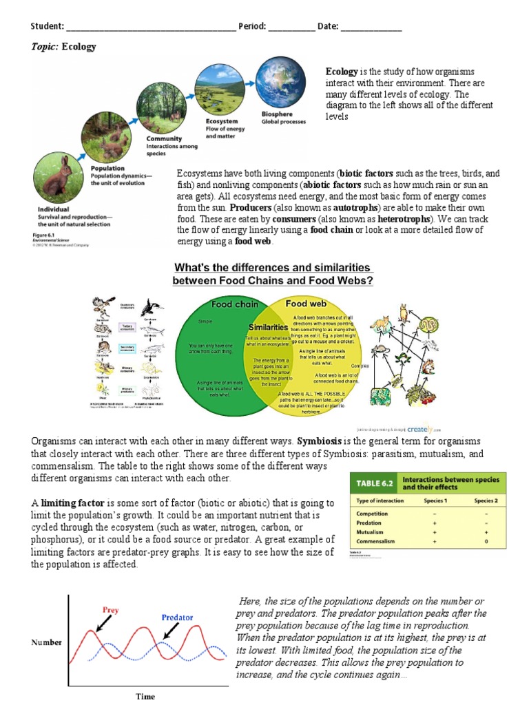 Unit 8 Ecology Review Packet | PDF | Ecology | Ecological Niche