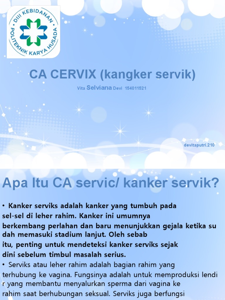 CA Servik | PDF