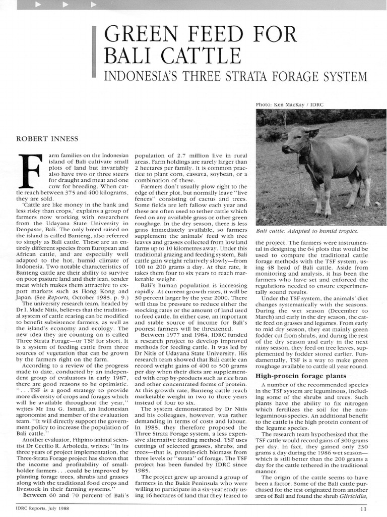 1 Green Feed For Bali Cattle: Indonesia'S Three Strata Forage System ...