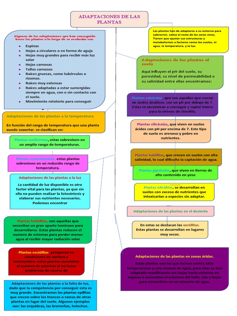 Adaptaciones de las Plantas al Ambiente | PDF | Plantas | Hoja