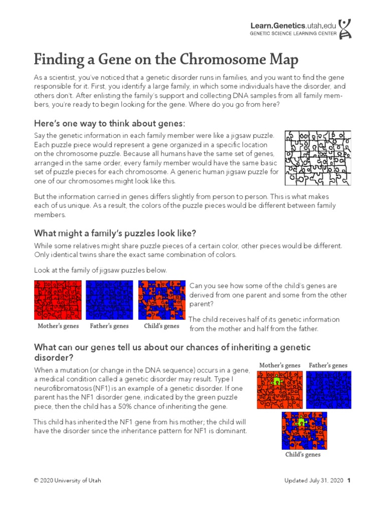 Find A Gene - Student | PDF | Genetics | Gene