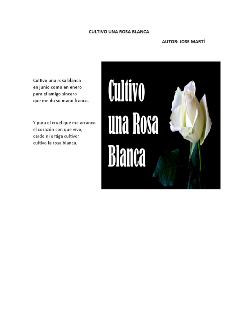 Cultivo Una Rosa Blanca Cultivo Una Rosa Blanca: Poema De José Martí