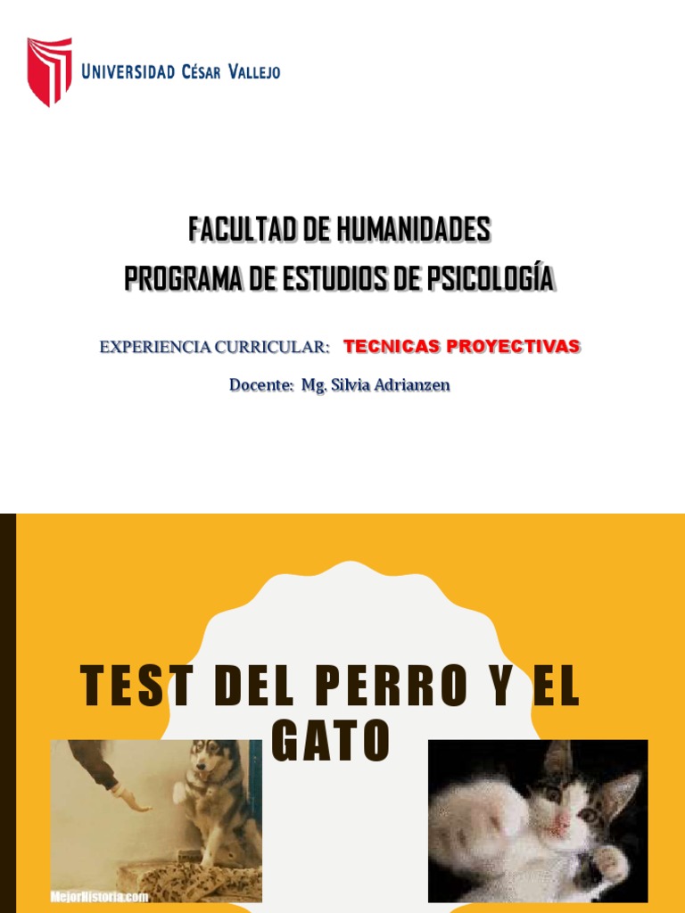 Análisis e interpretación del Test Proyectivo del Perro y el Gato | PDF ...