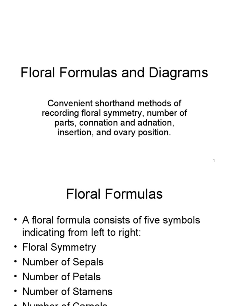 Floral Formulas and Diagrams | PDF | Flowers | Petal