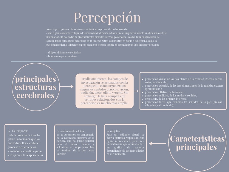 Mapa Mental Percepción | PDF | Percepción | Cognición