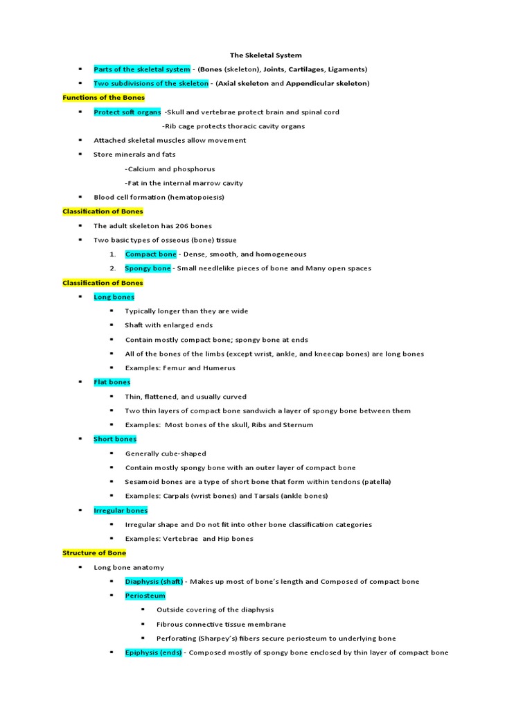 Anaphy Notes Midterm | PDF | Anatomical Terms Of Motion | Vertebra