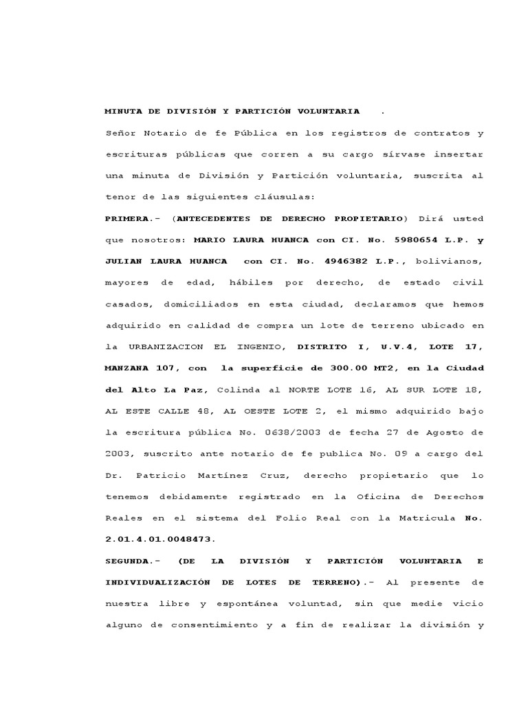 Minuta de Division y Particion Voluntaria Mario Laura | PDF | Derecho ...