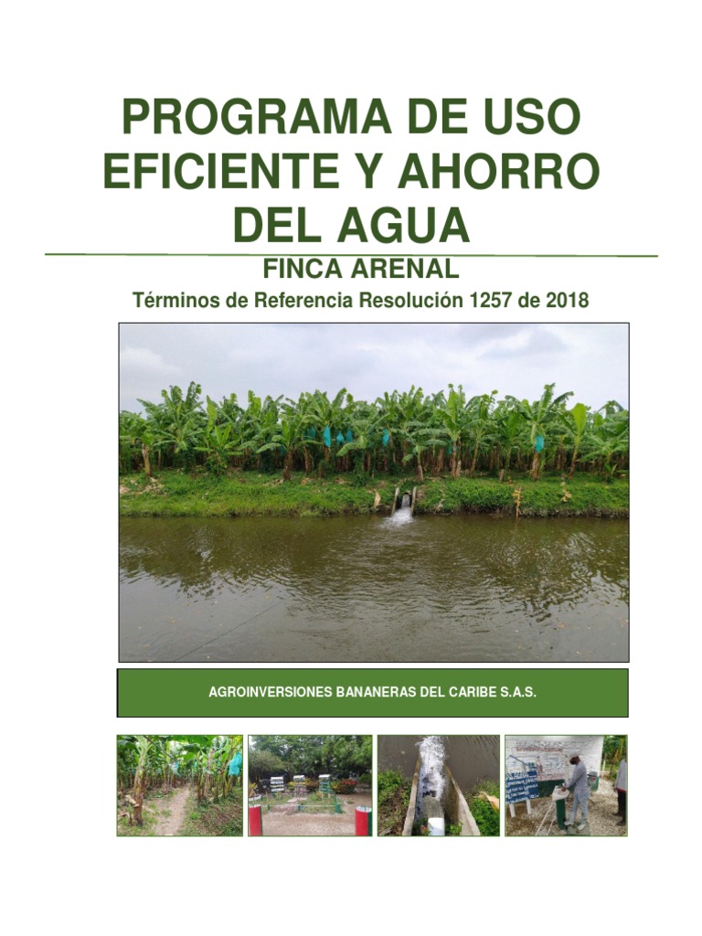 Programa de Uso Eficiente y Ahorro Del Agua Arenal | PDF | Agua | Riego