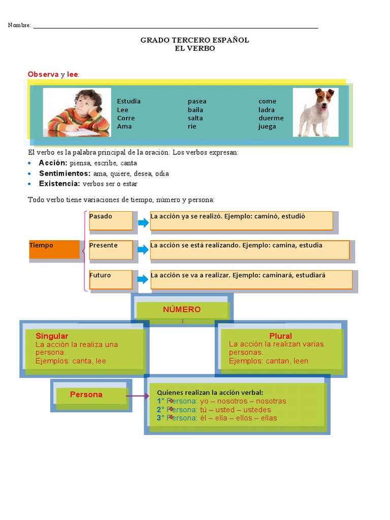El Verbo para Tercer Grado | PDF | Verbo | Conjugación gramatical
