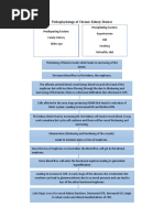 Pathophysiology of Uti | PDF | Urinary Tract Infection | Urinary Bladder