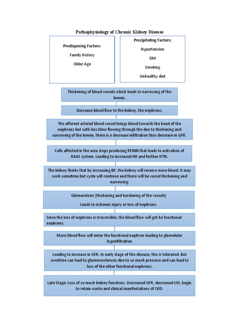 Pathophysiology of Chronic Kidney Disease | PDF