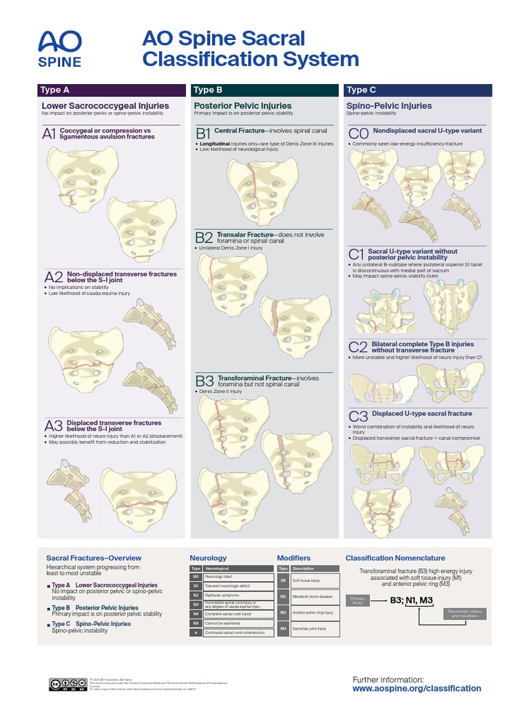 AOS Injury Classification Systems Poster SACRAL | PDF | Pelvis | Spinal ...