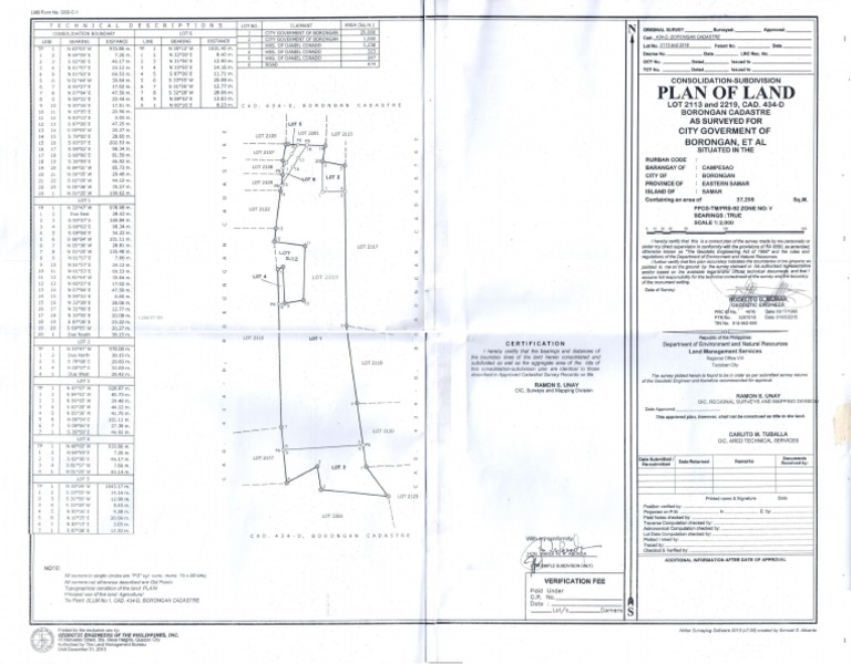 DENR Plan of Land | PDF