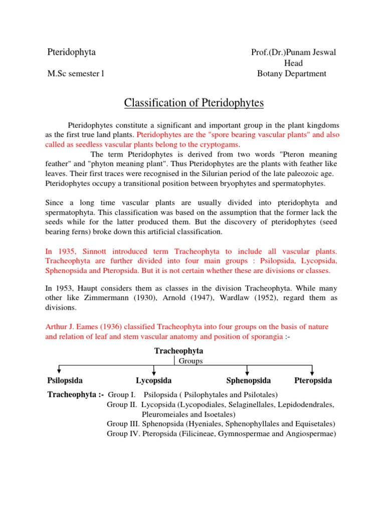 Punam Jaiswal PG-I Sem Classification of Pteridophytes | PDF | Fern | Leaf