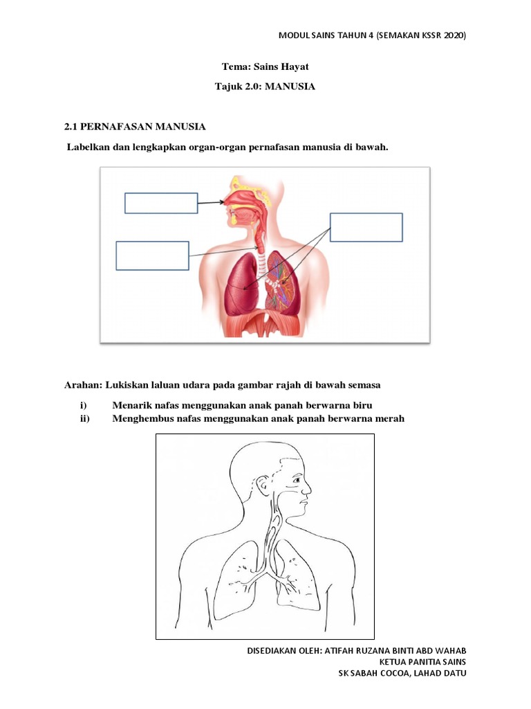 Modul Sains Tahun 4 Semakan KSSR | PDF