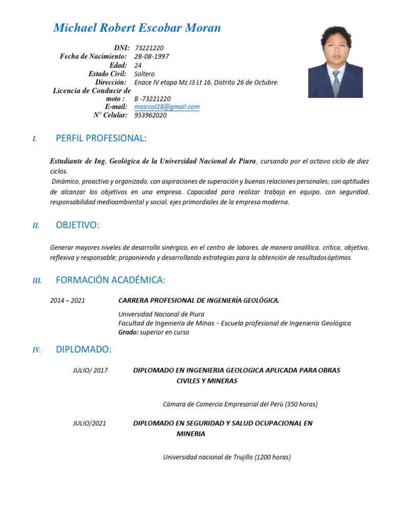 Michael CV - Con Experiencia | PDF