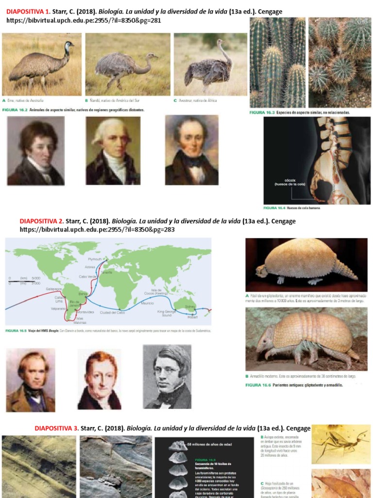 Afpd 2 - 20202 - Eva | PDF