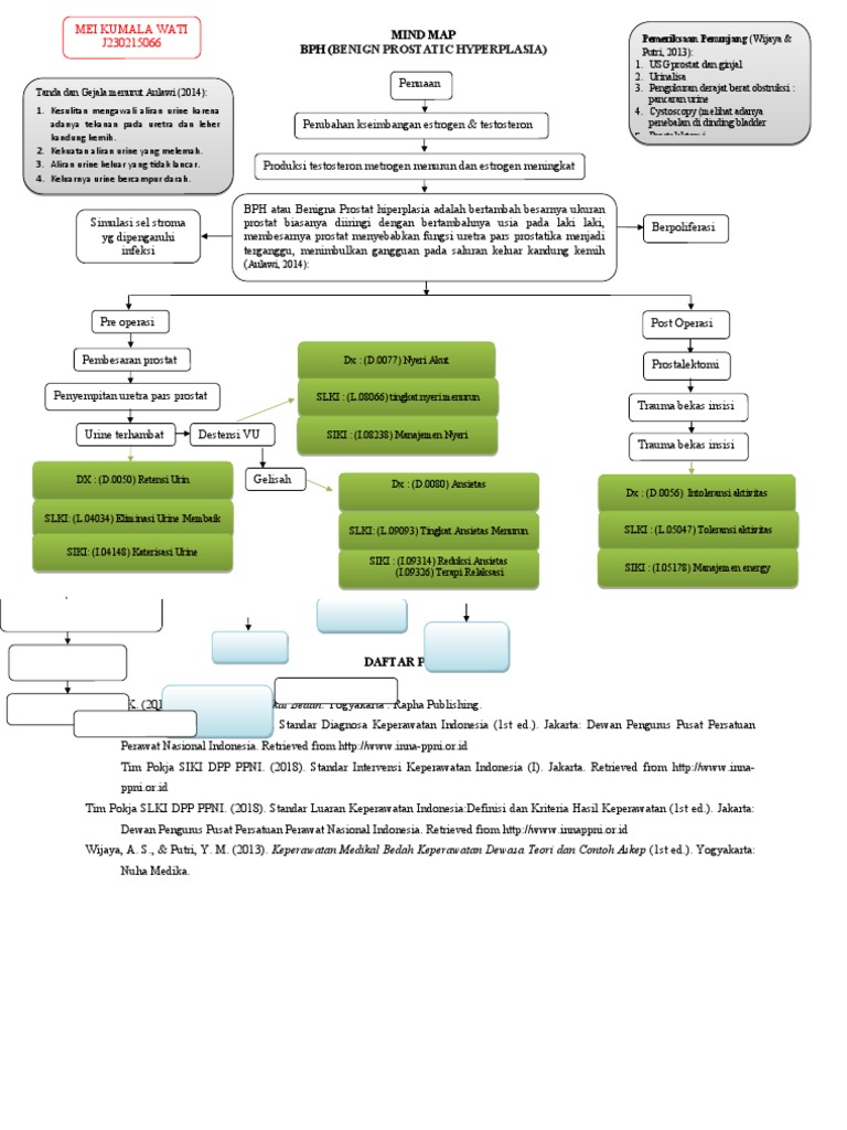 Mind Map BPH - Mei Kumala Wati - J230215066 | PDF