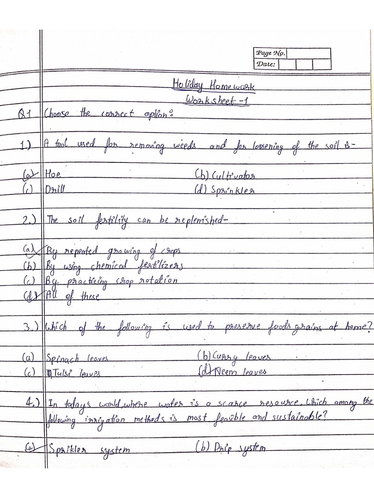 Science Holiday Homework | PDF