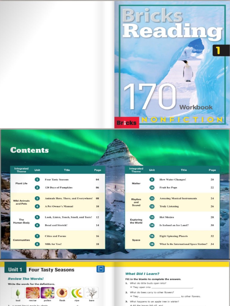 Bricks 170 Workbook | PDF