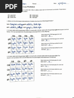 Dihybrid Cross Worksheet Answer Key | PDF