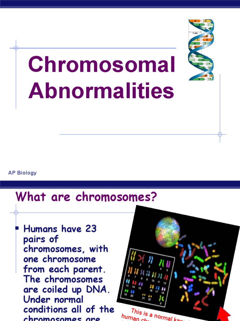 Chromosomal Abnormalities: AP Biology | PDF | Biology | Genetics