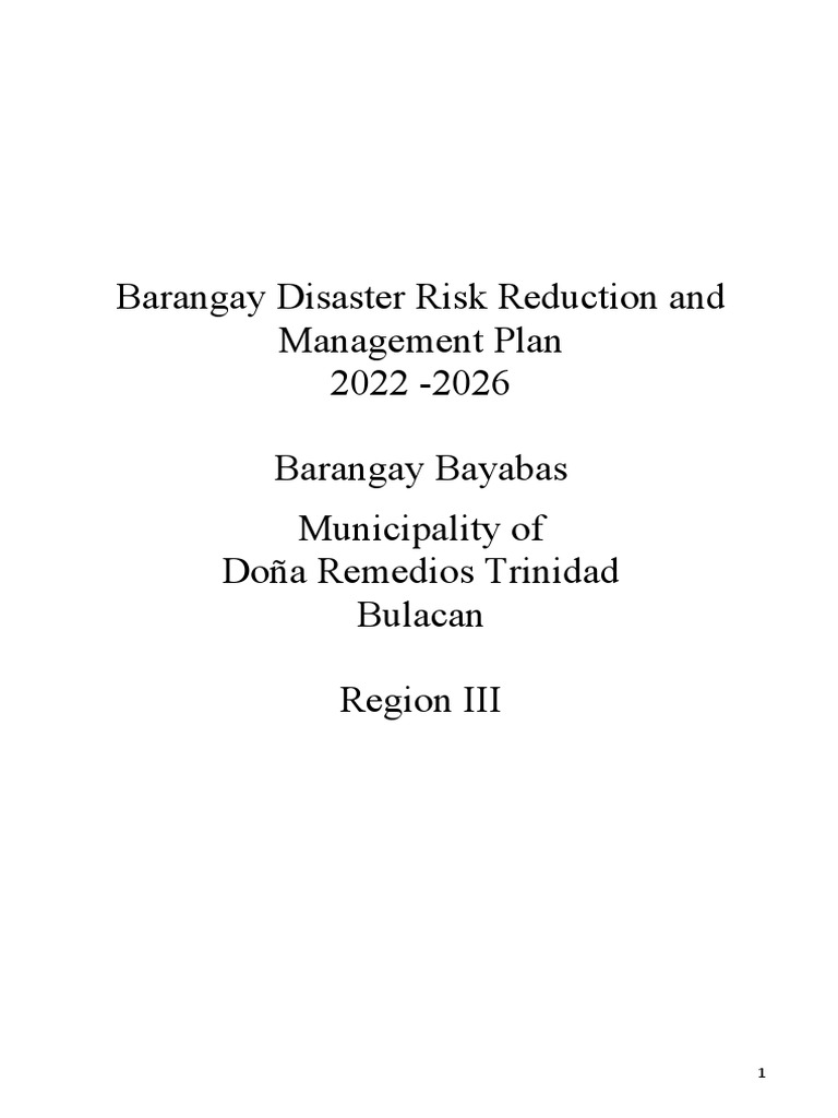 BDRRM Template 2021 | PDF