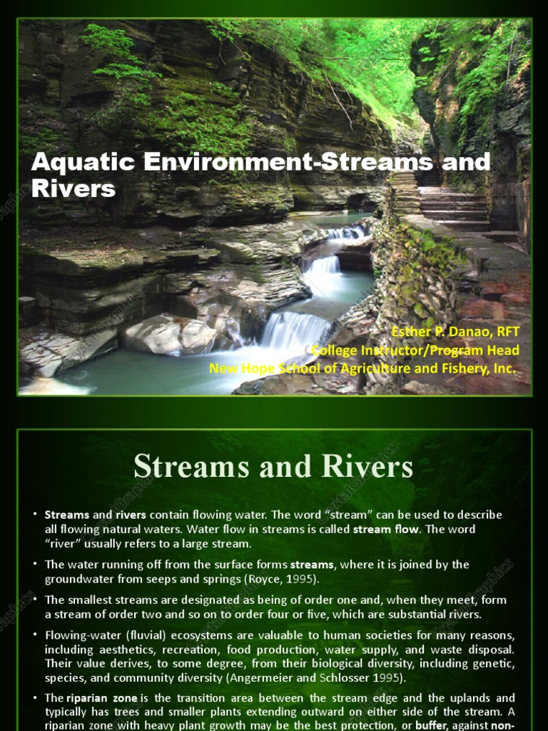 Understanding Aquatic Environments: An Overview of Streams, Rivers ...