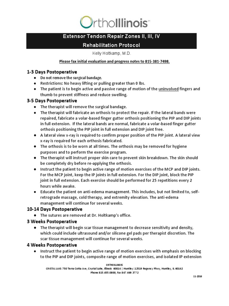 Extensor Tendon Repair Zones II, III, IV Rehabilitation Protocol | PDF ...