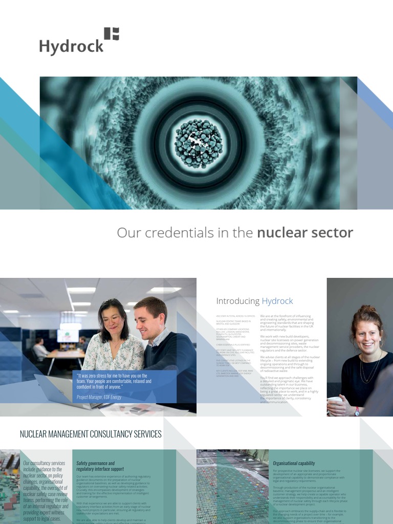 Our Credentials in The: Nuclear Sector | PDF | Nuclear Power | Consultant