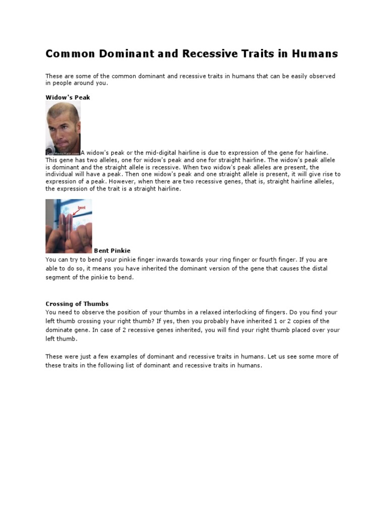 Common Dominant and Recessive Traits in Humans | PDF | Dominance ...