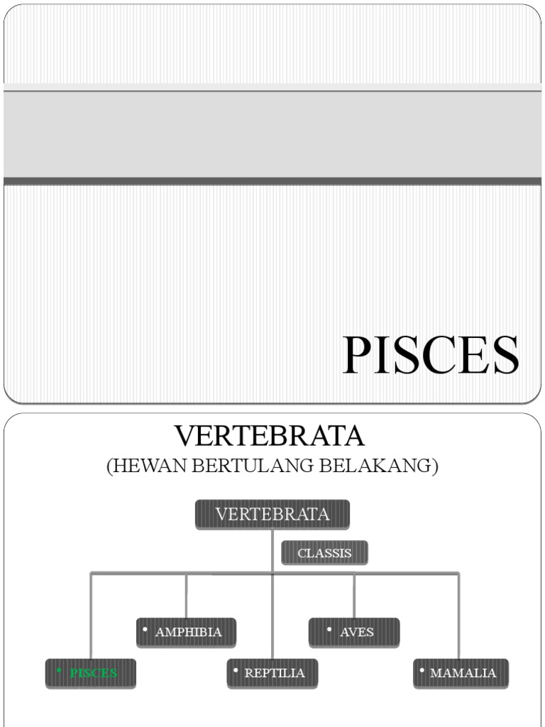Klasifikasi dan Ciri Pisces | PDF | Ilmu Sosial | Kajian Bahasa Asing